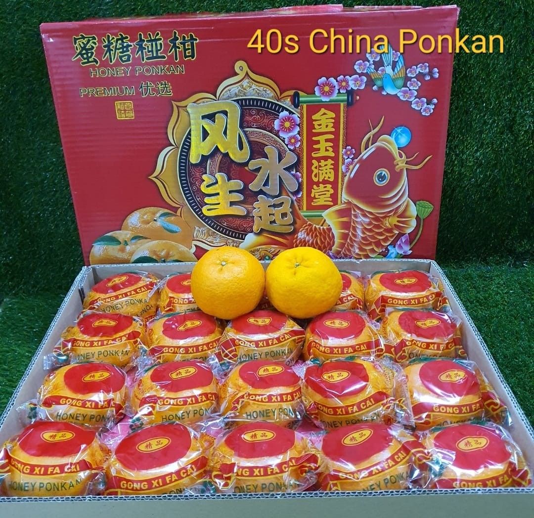 China Honey Ponkan 40pcs XXL, Food & Drinks, Fresh Produce on Carousell