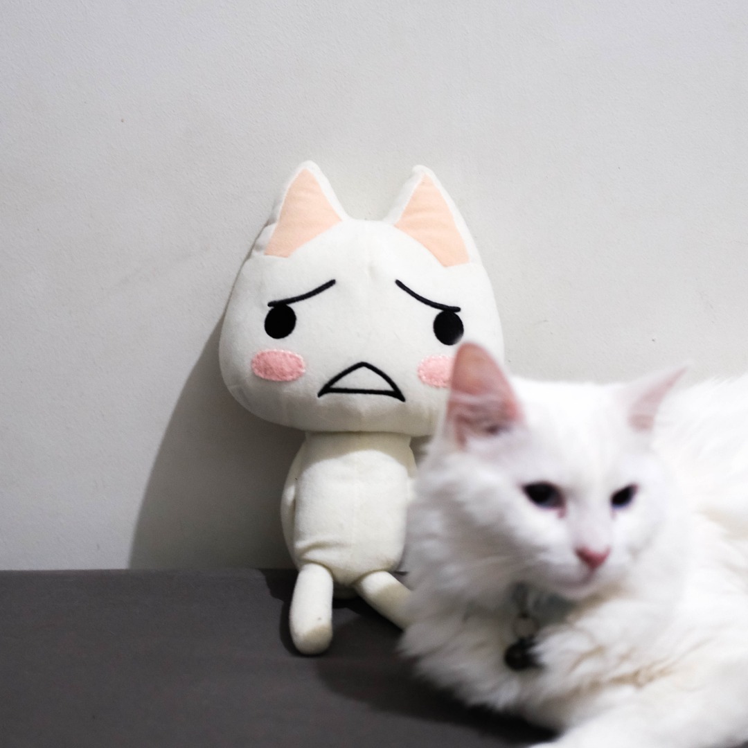 Doko Demo Issyo Toro Inoue Hobbies Toys Toys Games On Carousell