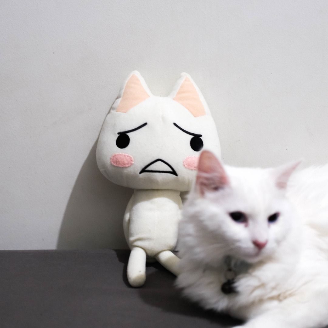 doko demo issyo toro inoue, Hobbies & Toys, Toys & Games on Carousell