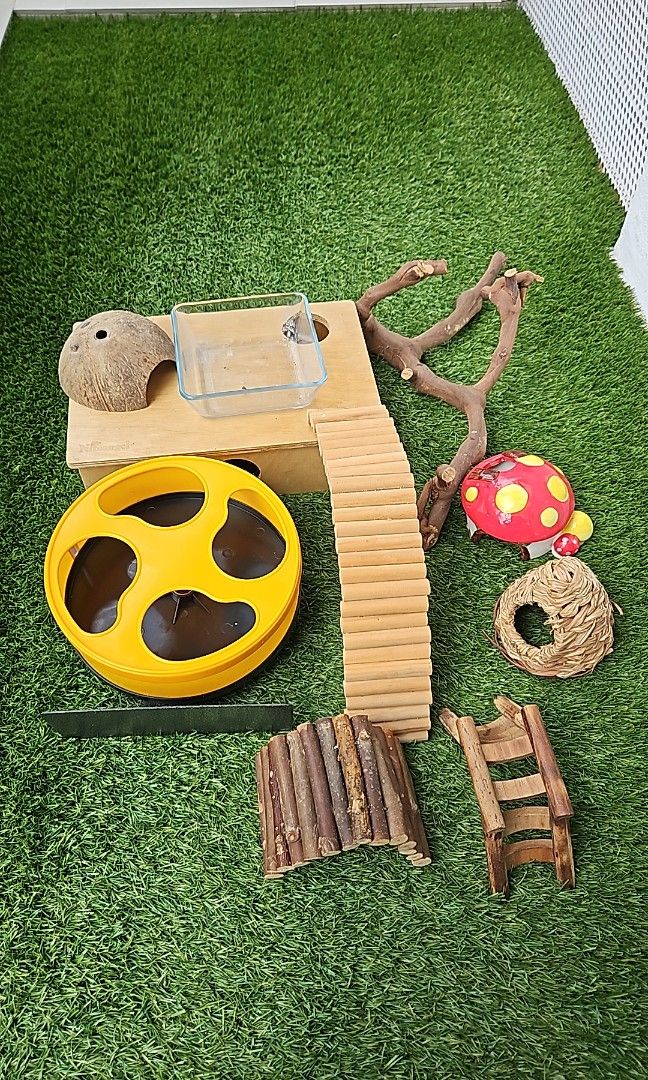 Hamster bundle set, Pet Supplies, Homes & Other Pet Accessories on ...
