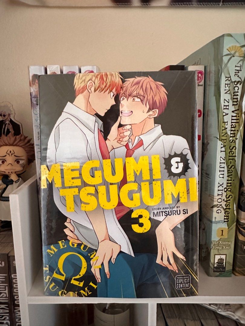 Megumi & Tsugumi Manga, Hobbies & Toys, Books & Magazines, Comics ...