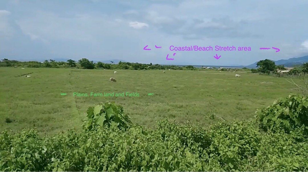 Near Puerto Galera 21 hectares is 3-in-1 Beach-Farm-Mountain Land Real ...