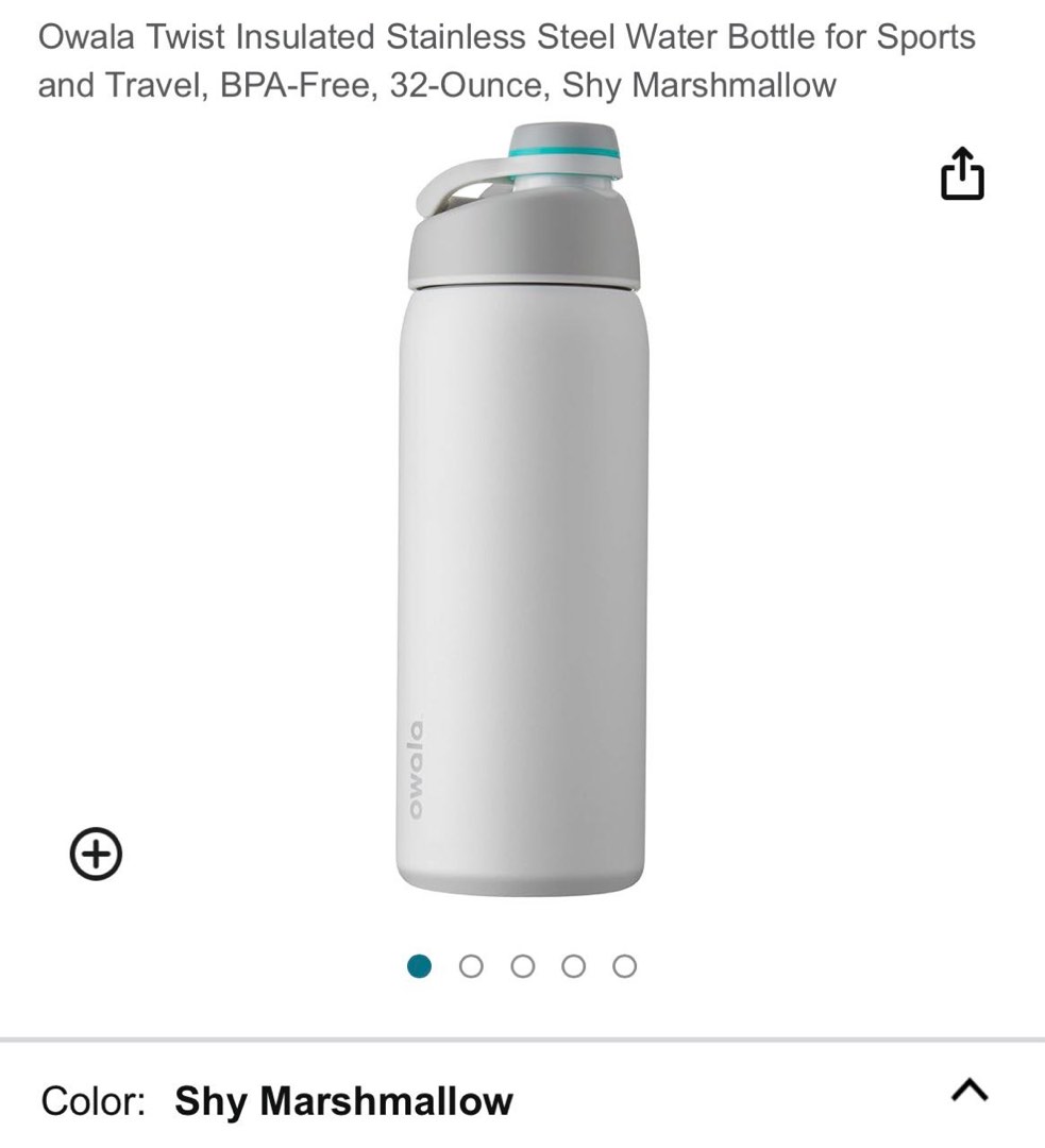 Owala Thermal Flask, Everything Else on Carousell