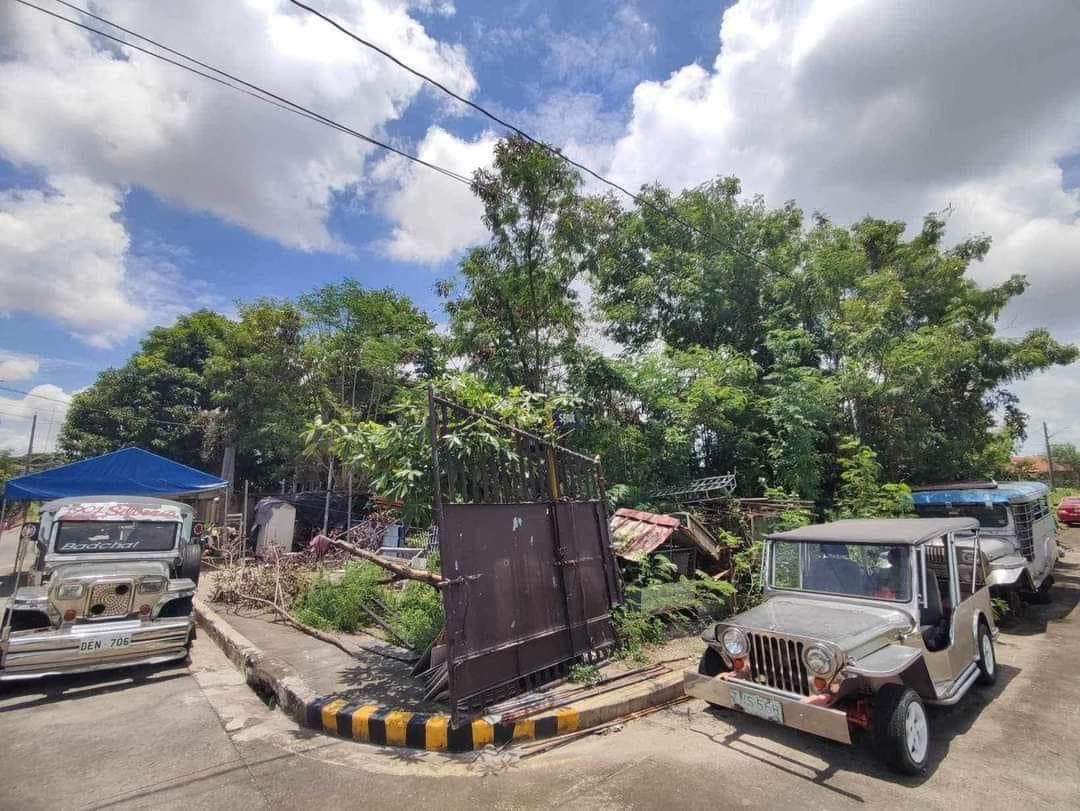 Pallas Athena Executive Village Imus Cavite Lot, Property, For Sale ...