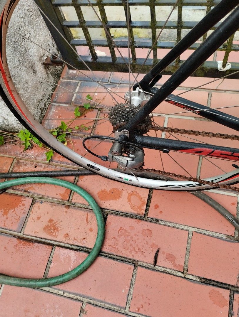 Polygon helios 450 toad bike, Sports Equipment, Bicycles & Parts ...