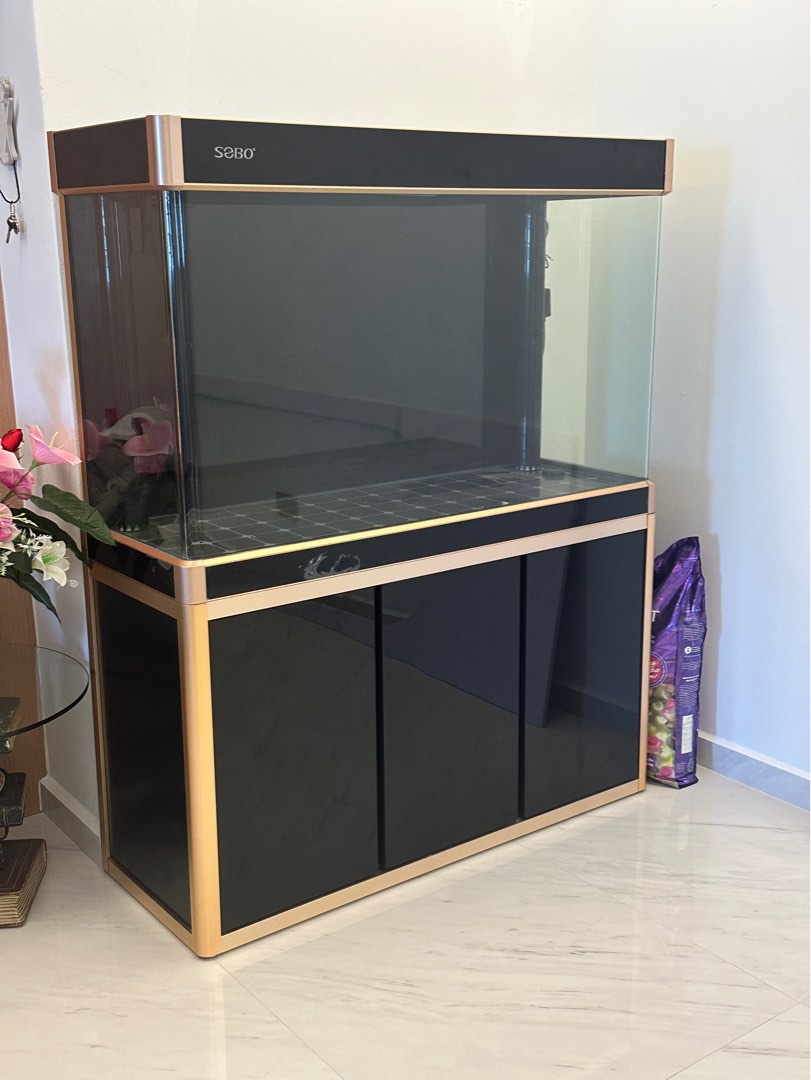 4 ft Fish tank brandnew nego, Pet Supplies, Homes & Other Pet ...