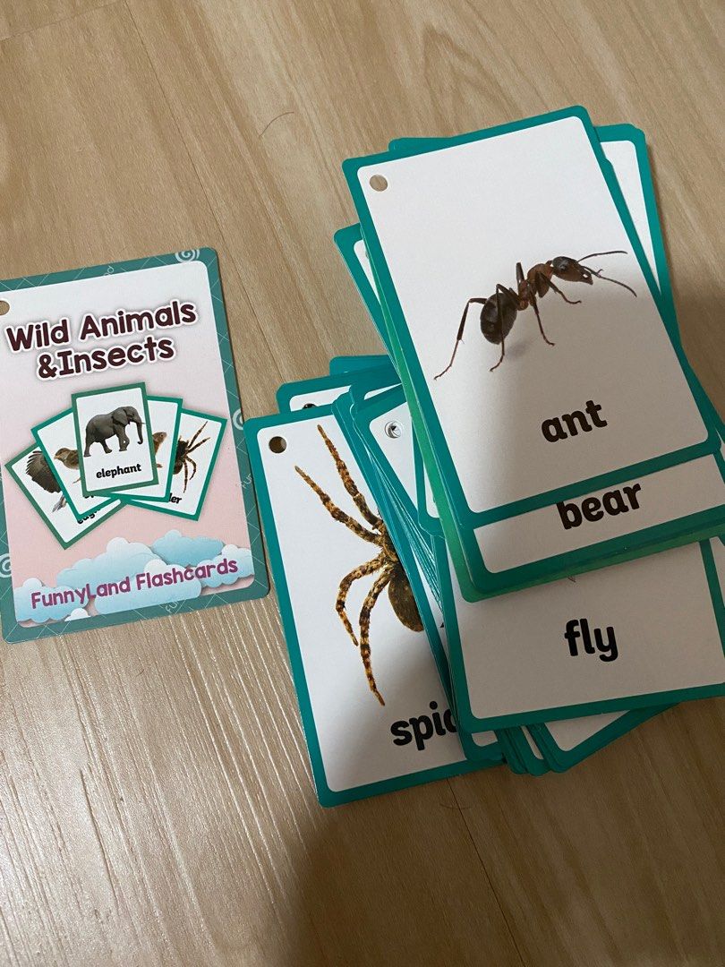 ANIMALS & INSECTS Flashcards (48 pieces in 1 set), Hobbies & Toys ...