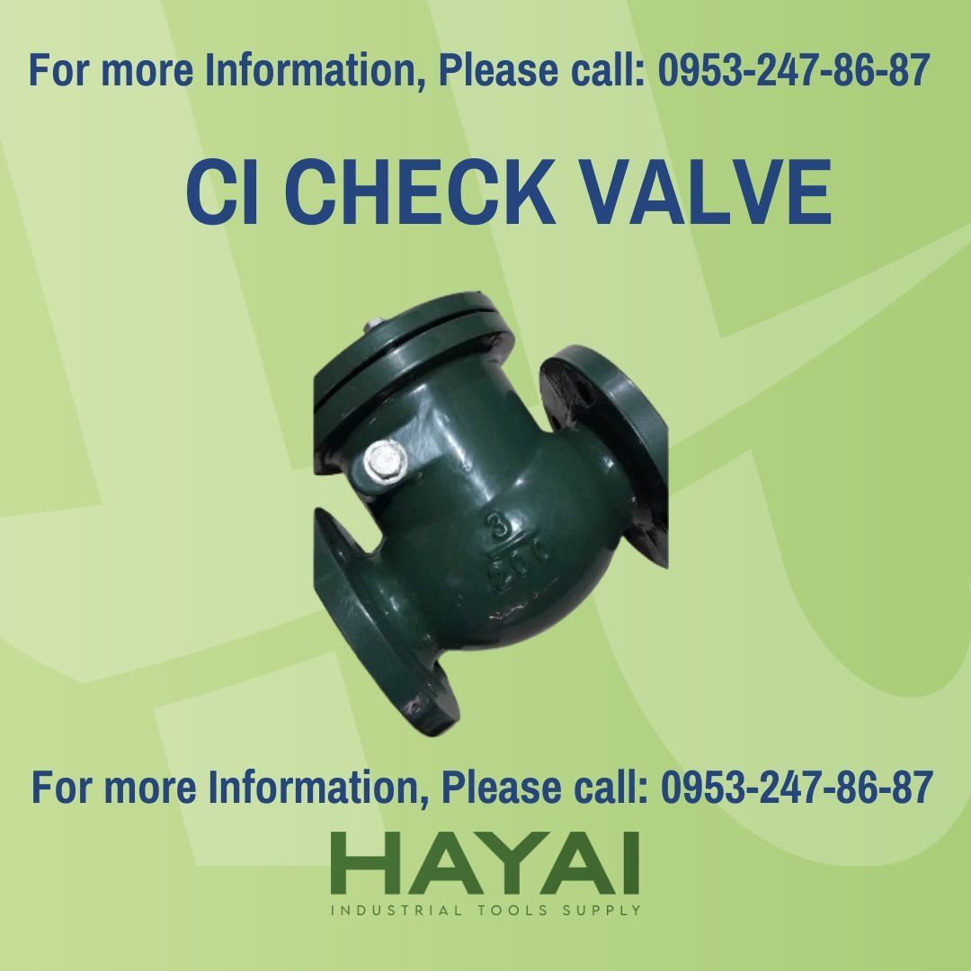 CI CHECK VALVE, Commercial & Industrial, Construction Tools & Equipment ...