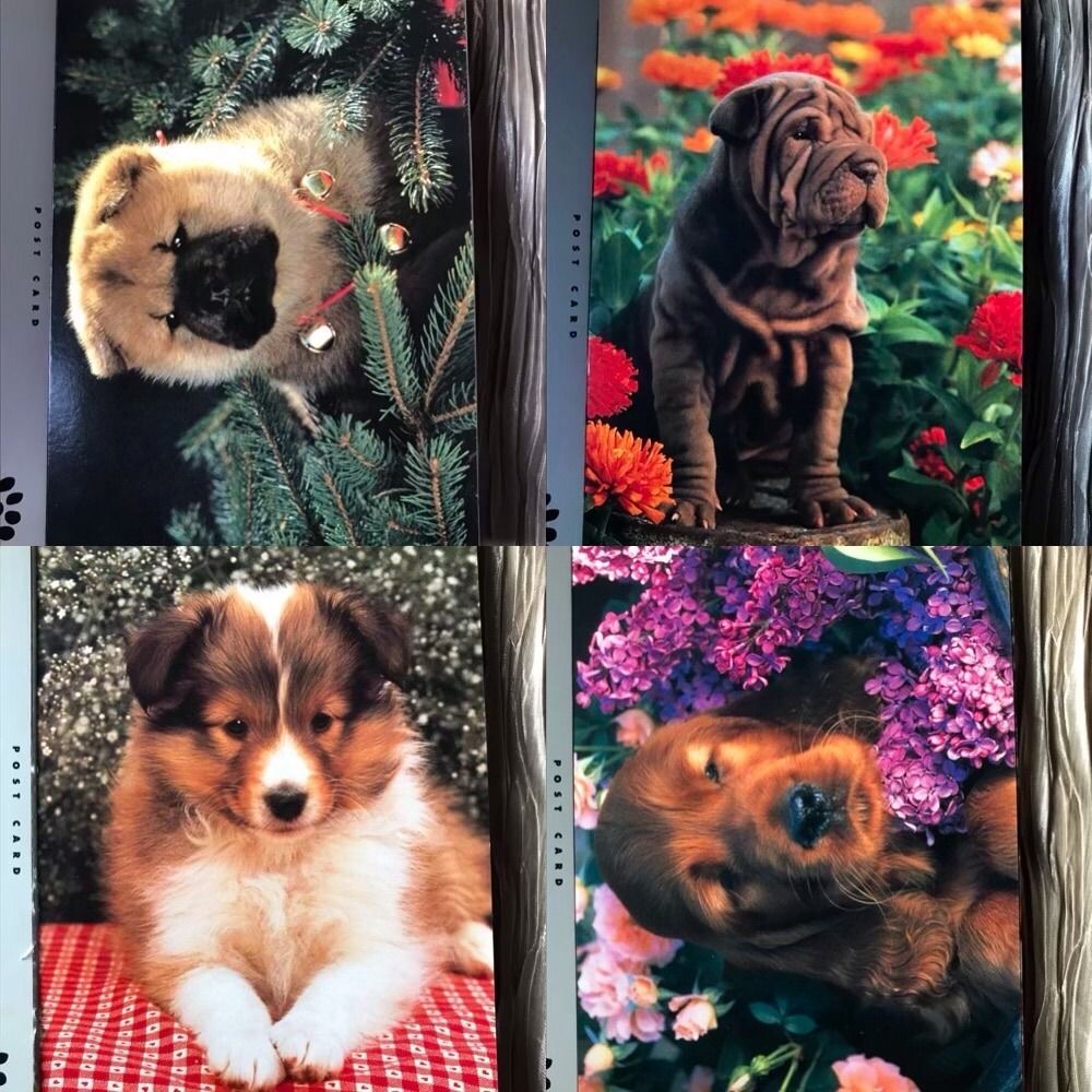 DOG GONE CUTE (Art Cartel) Vintage Full Color Prints Postcard Book ...