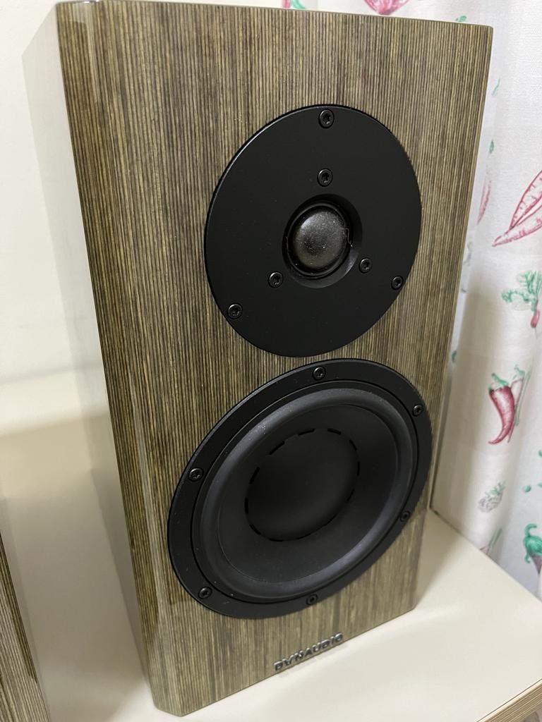 Dynaudio's award-winning anniversary speaker, Special Forty Hifi ...