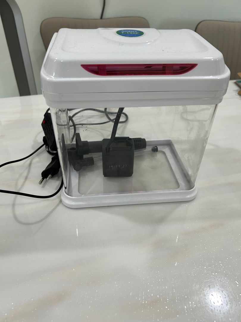Fish Tank with filter and light, Pet Supplies, Homes & Other Pet Accessories on Carousell
