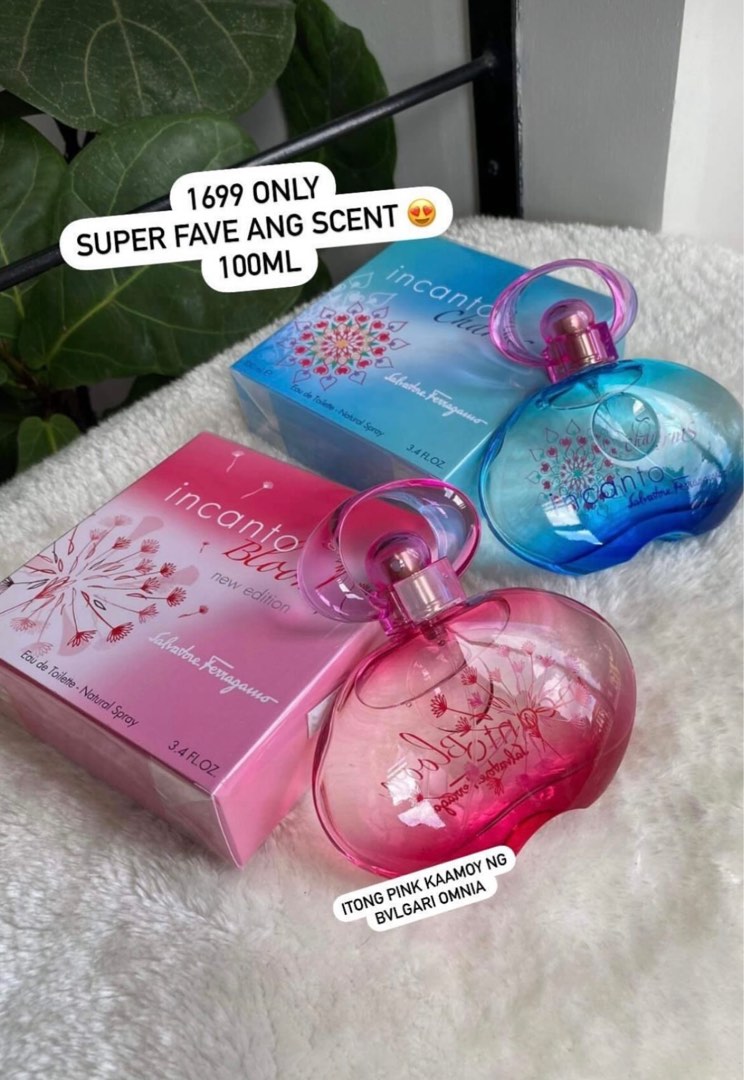 Incanto 100ml bloom and charms, Beauty & Personal Care, Fragrance ...