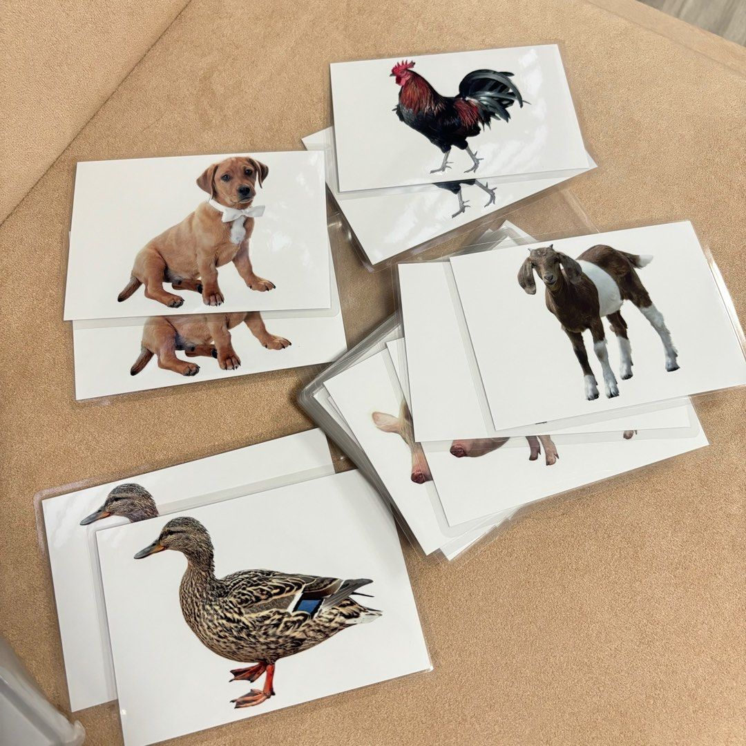 Montessori Learning Laminated Flash Cards, Babies & Kids, Infant ...