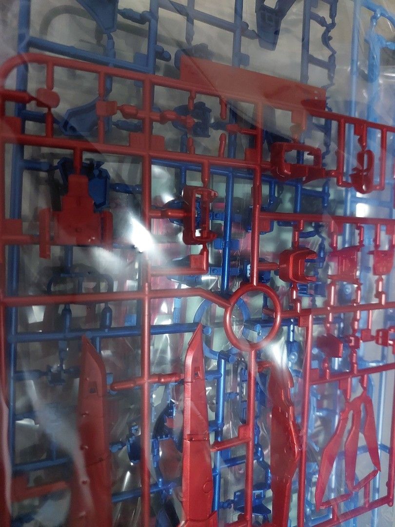 Pbandai RG Destiny Gundam real Grade Model Kit Gunpla Mobile suit ...