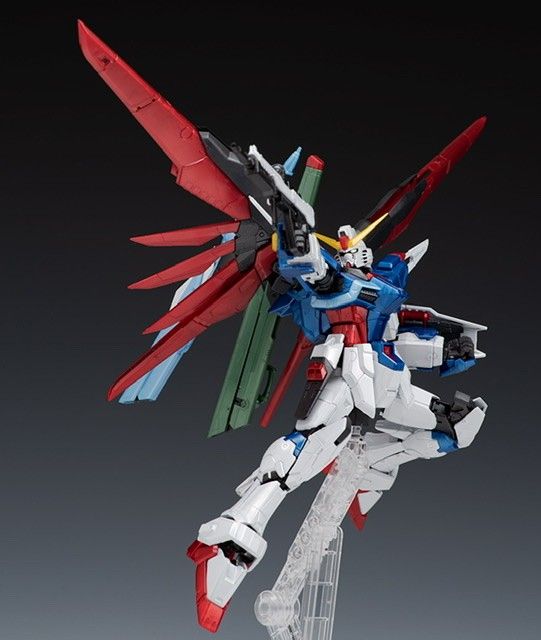Pbandai RG Destiny Gundam real Grade Model Kit Gunpla Mobile suit ...