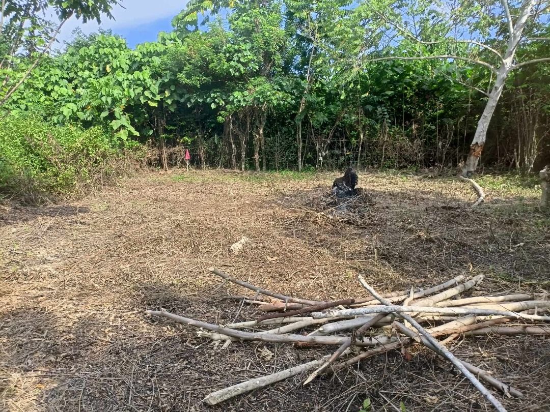 120SQ meter lot for sale @ camudmud, Property, For Sale, Lot on Carousell