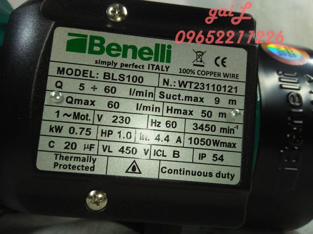 BENELLI Italy 1HP Self-Priming Jet Booster Water Pump 100% Copper ...