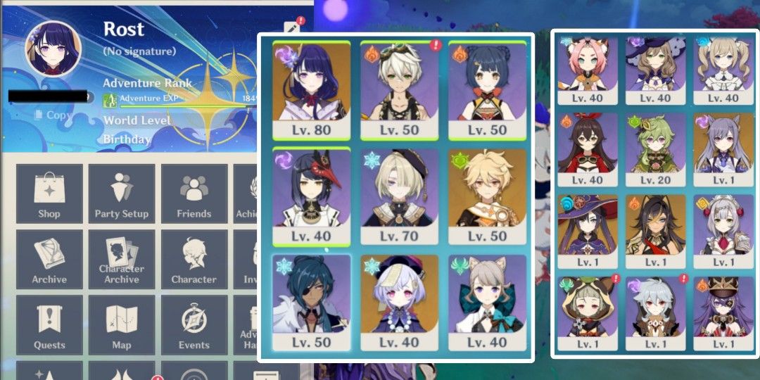 C3 Raiden + Sig w/ Friends Genshin Impact Account, Video Gaming, Video ...