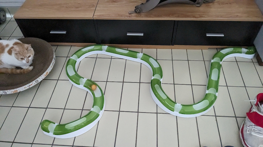 Catit Senses 2.0 Super Circuit cat toy track, Pet Supplies, Homes ...