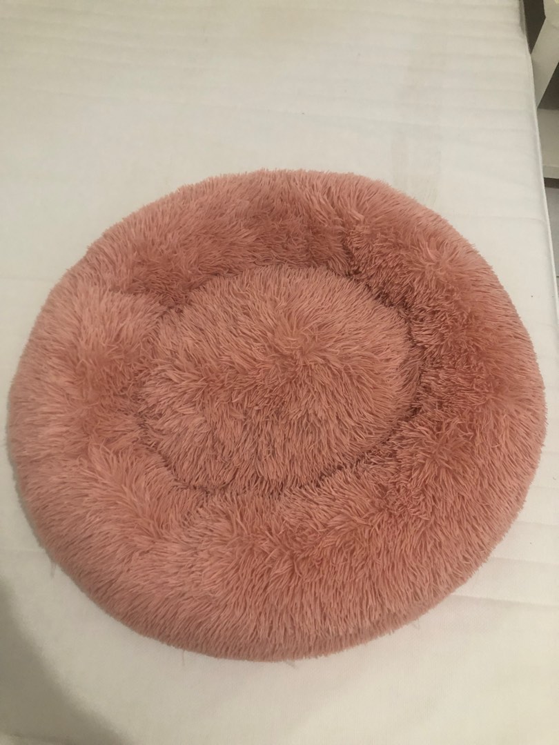 Fluffy pet beds, Pet Supplies, Homes & Other Pet Accessories on Carousell