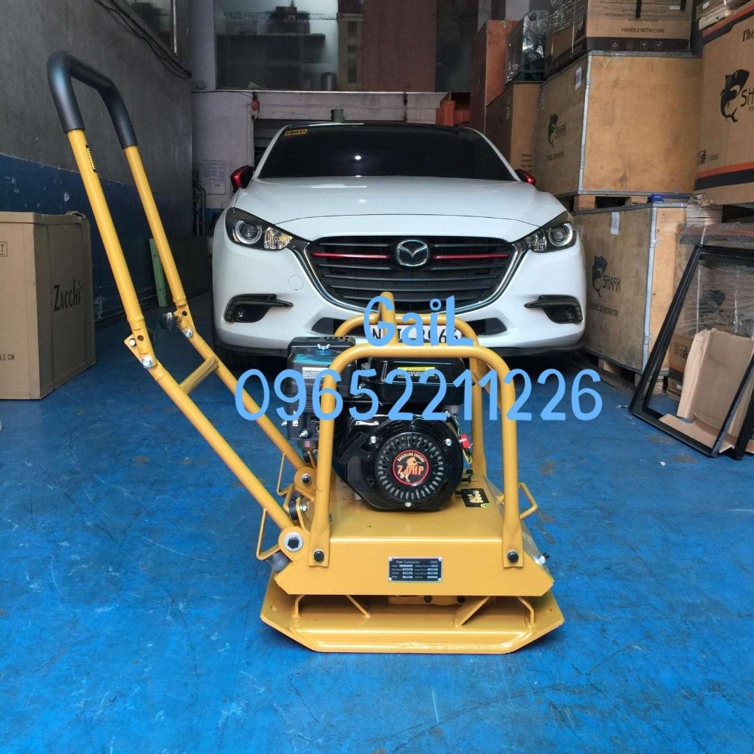 GOLDEN HORSE Industrial 7HP 90kgs. Gasoline Engine Plate Compactor (C90 ...