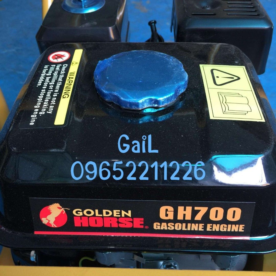 GOLDEN HORSE Industrial 7HP 90kgs. Gasoline Engine Plate Compactor (C90 ...