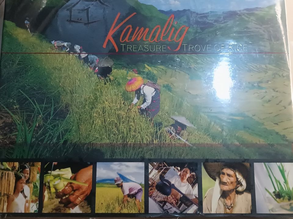 Kamalig: Treasure Trove of Rice Philippine Rice Research Institute ...