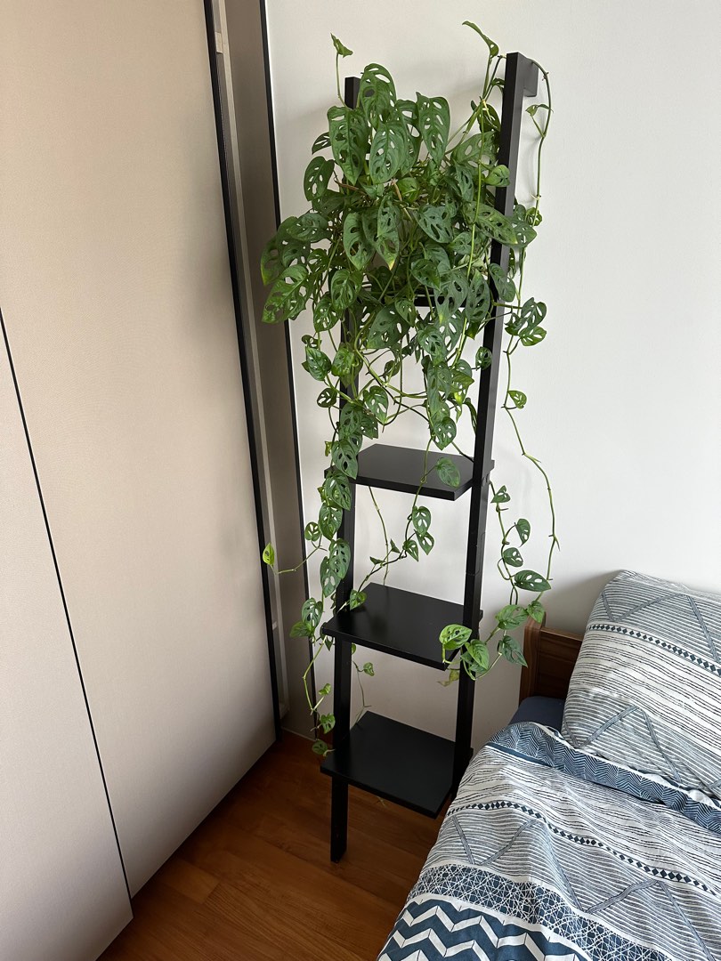 Move out sale - two standing shelves, Furniture & Home Living ...