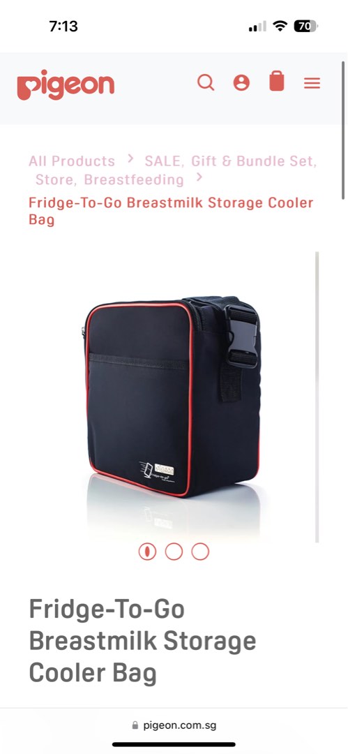 Pigeon fridge-to-go Storage Cooler Bag, Babies & Kids, Nursing ...