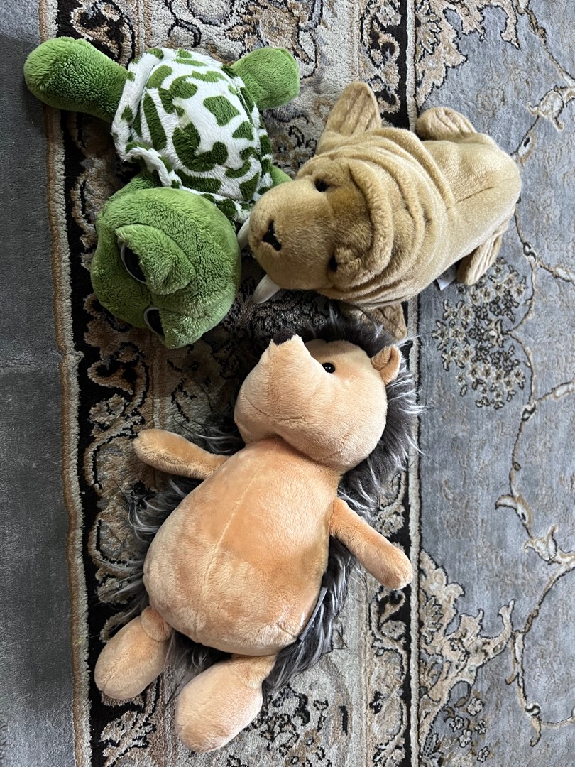 Soft toys set: hedgehog, walrus, turtle, Hobbies & Toys, Toys & Games ...