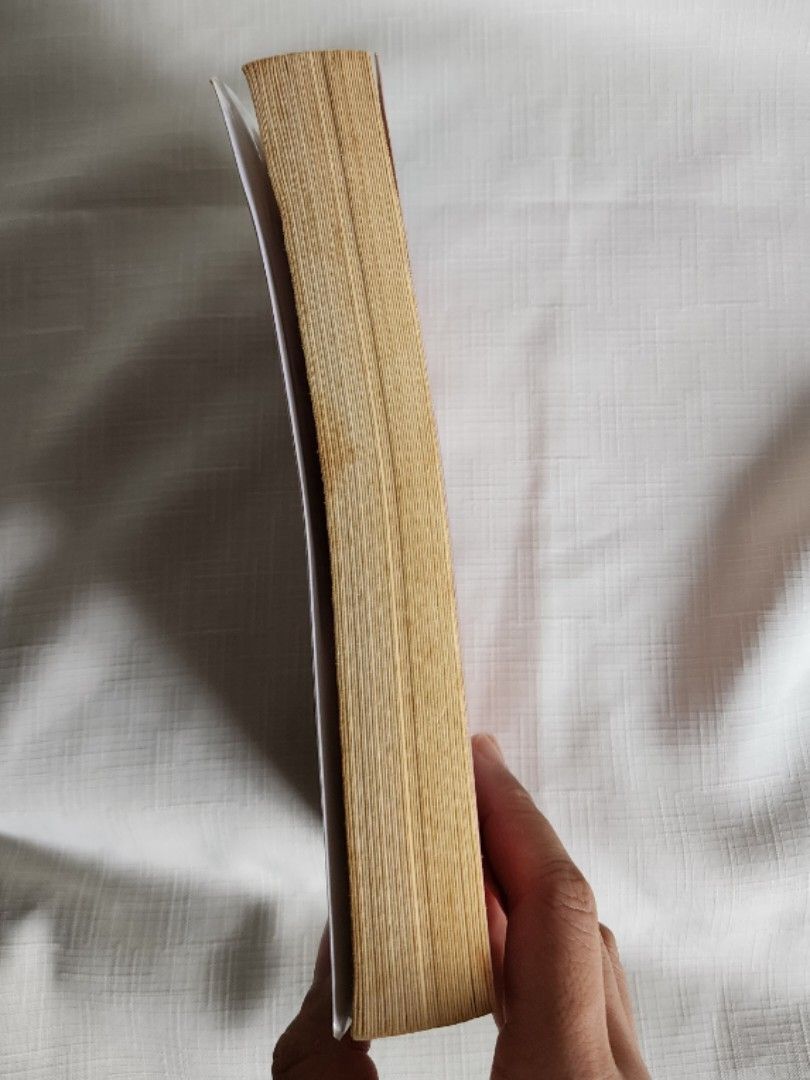 The Butterfly Mosque by G. Willow Wilson, Hobbies & Toys, Books ...