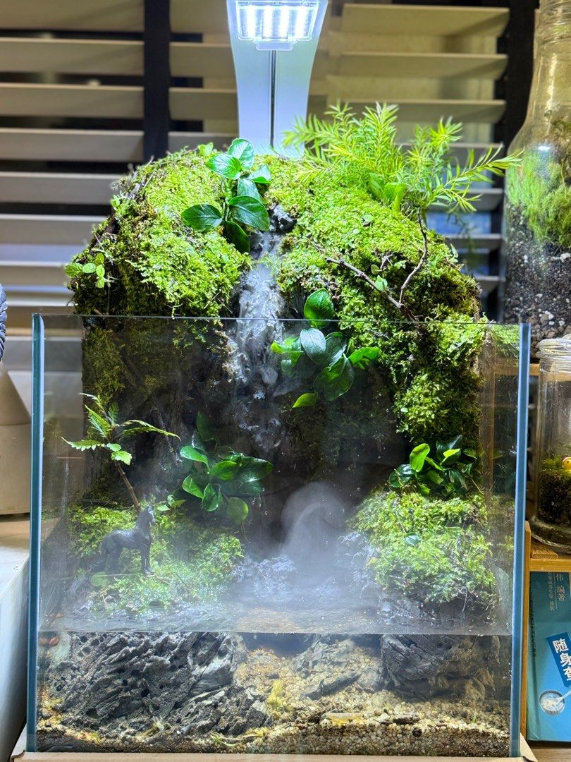(Make to Order): Real Flowing Waterfall Paludarium with mist, Pet ...