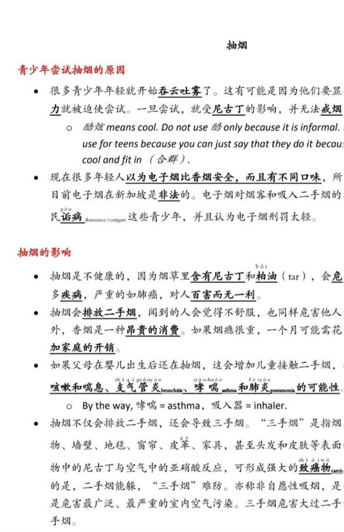 A1 Higher Chinese Paper 1 (Compo) and Oral Notes for O Levels (2024 ...