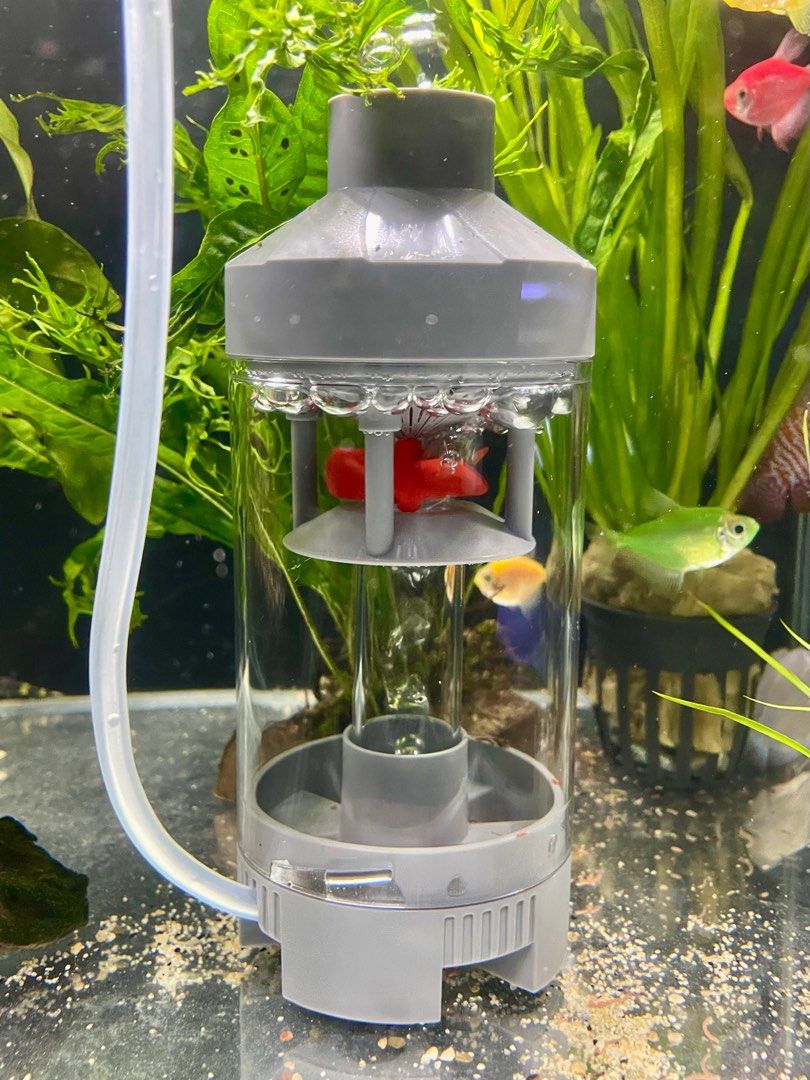 Aquarium Fish Poo Vacuum Collector, Pet Supplies, Homes & Other Pet ...