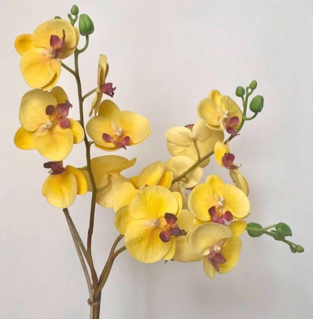 Artificial plant - orchird, Furniture & Home Living, Gardening, Pots ...