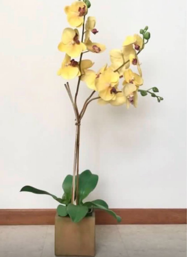 Artificial plant - orchird, Furniture & Home Living, Gardening, Pots ...