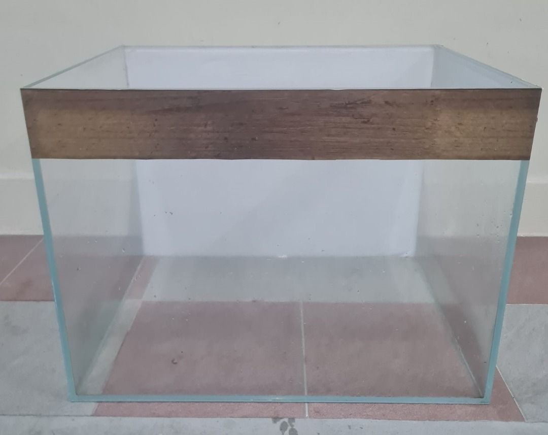 Big Rectangle Glass Fish Tank 2 feet 60cm, Pet Supplies, Homes & Other ...