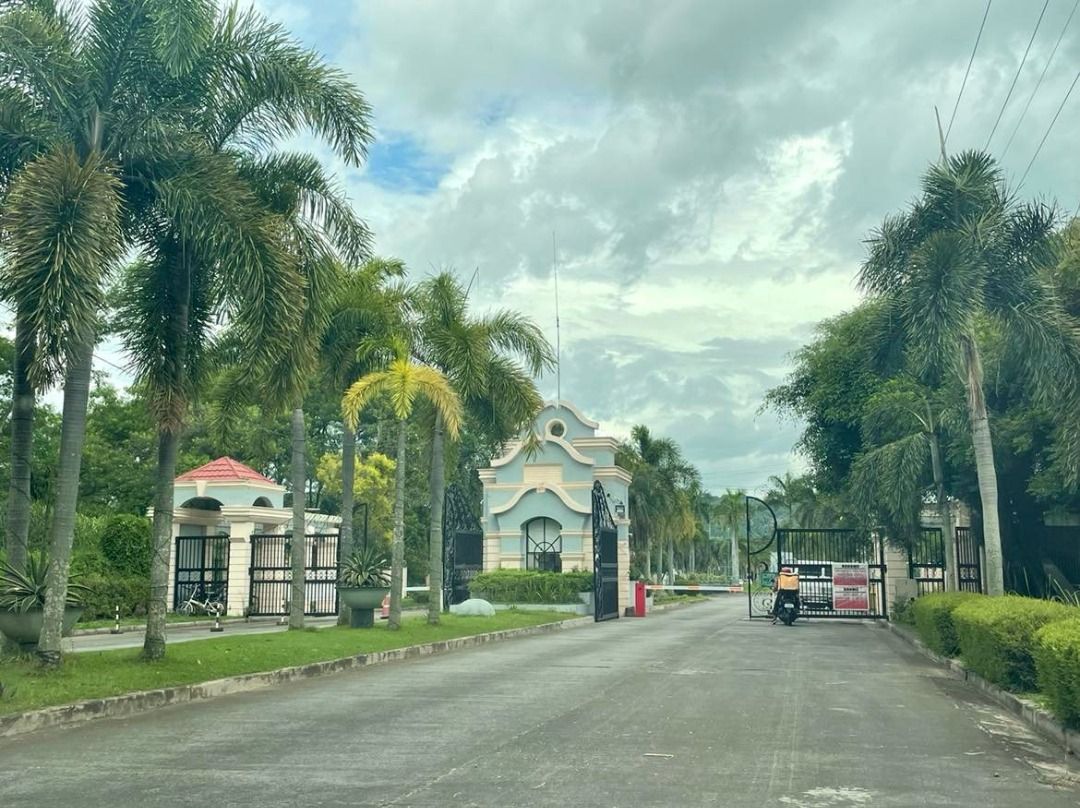 Binan Laguna Palma Real near CALAX and Mamplasan Exit, Property, For ...