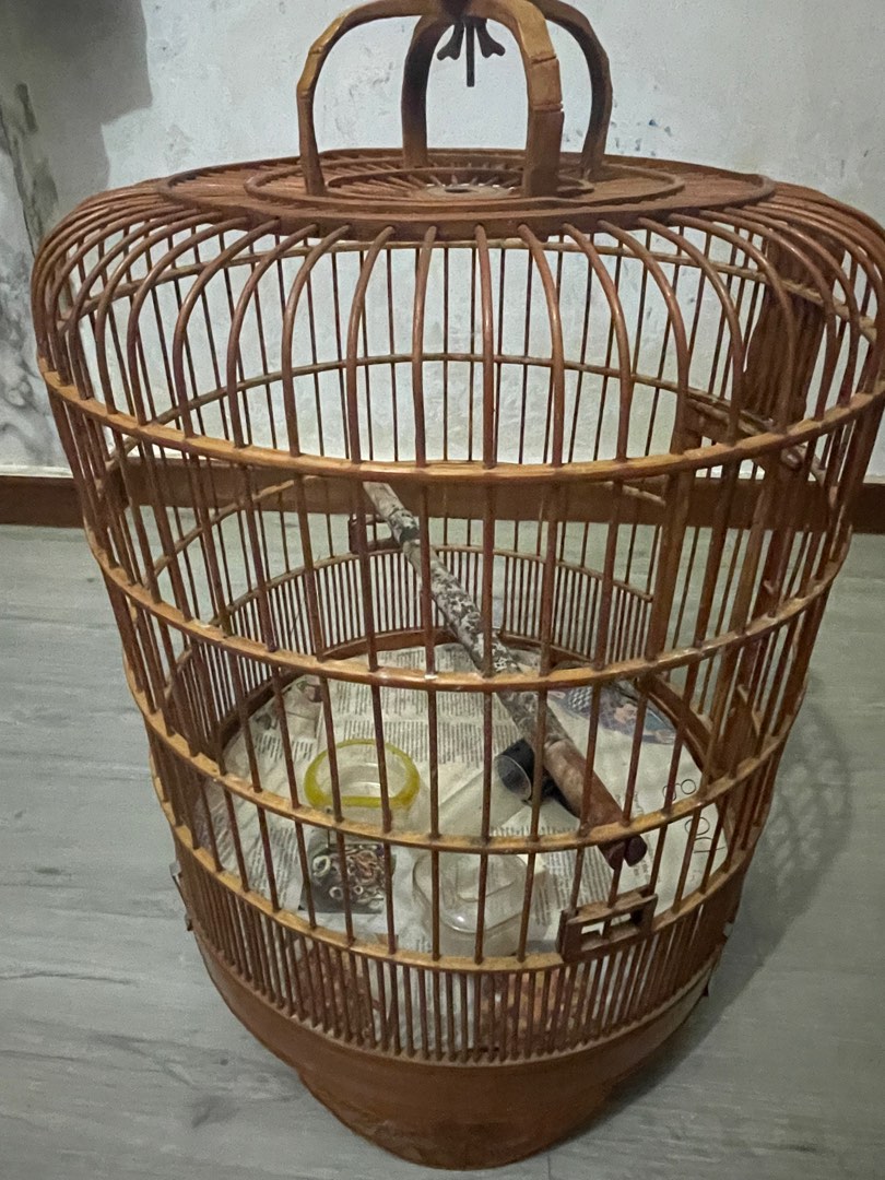 Bird Cage , Pet Supplies, Homes & Other Pet Accessories on Carousell