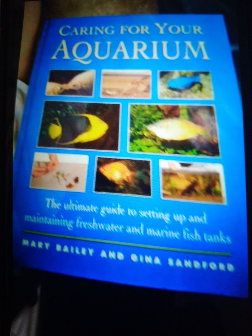 Caring for your aquarium- The ultimate guide to setting up and ...