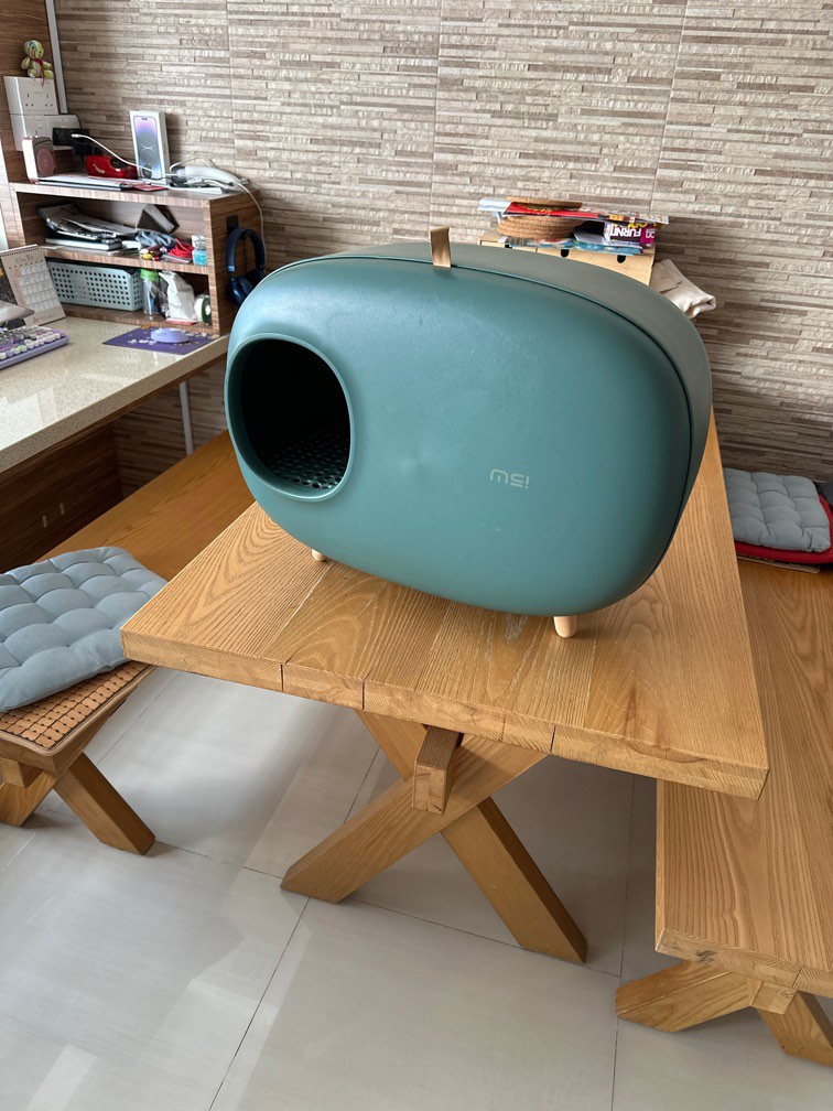 Cat sand box, Pet Supplies, Homes & Other Pet Accessories on Carousell