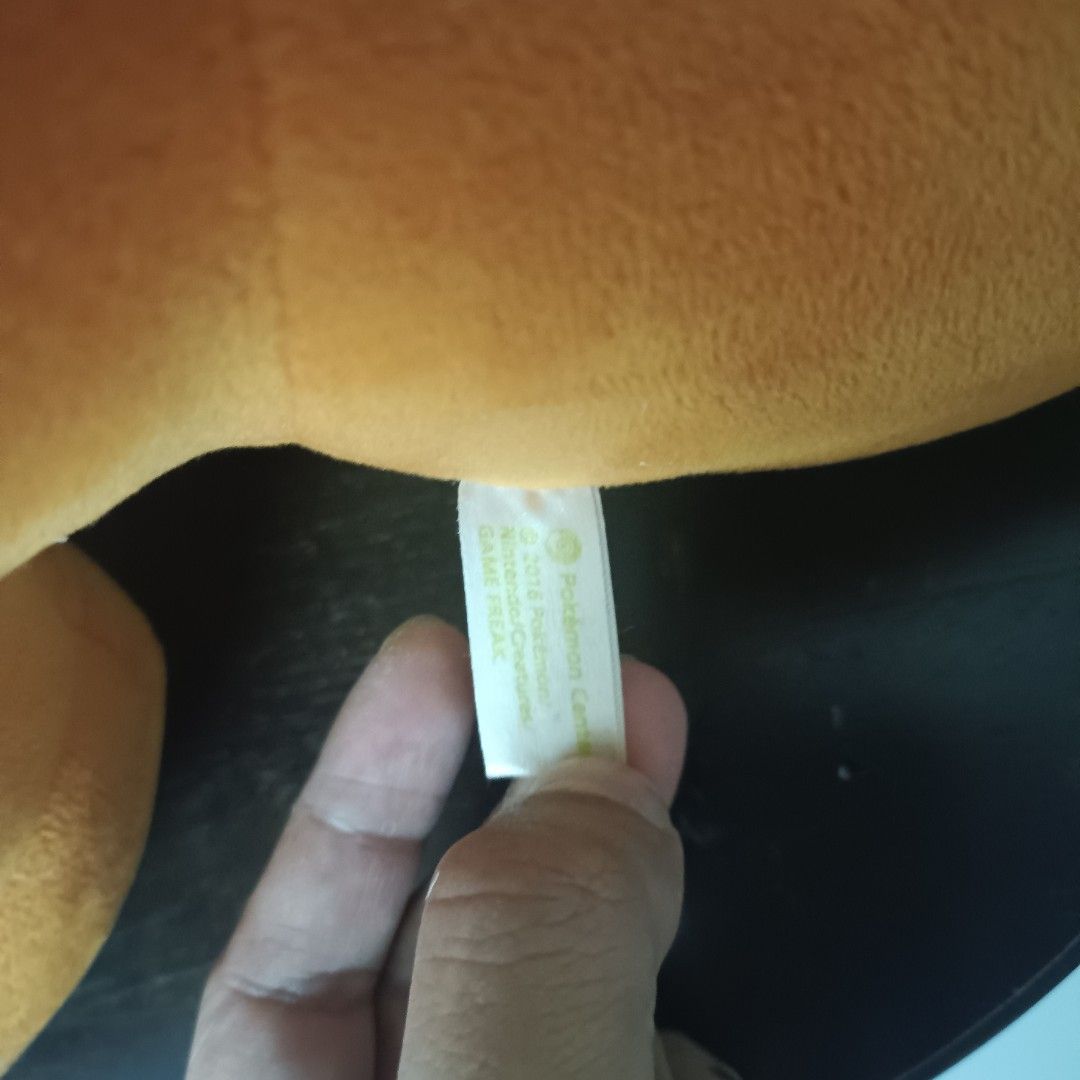 Charmander Life Size Original Used Plush, Hobbies & Toys, Toys & Games ...