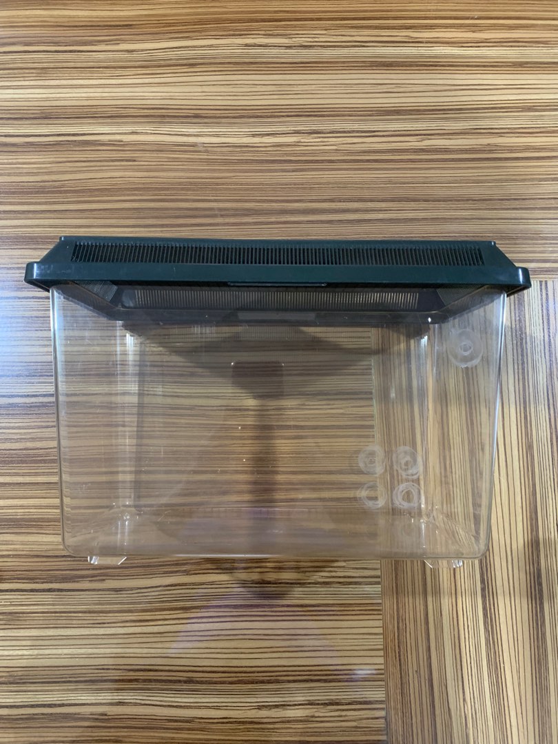 Faunarium - Exo Terra Fish / Turtle Tank, Pet Supplies, Homes & Other ...