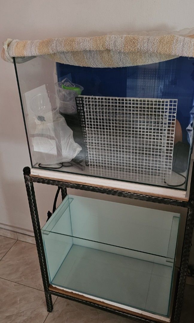 Fish tank 2ft x 2, Pet Supplies, Homes & Other Pet Accessories on Carousell