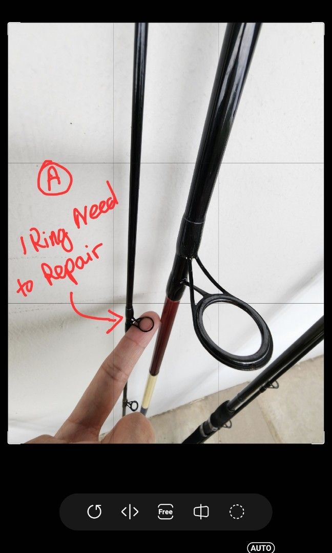 Fishing rod PINNACLE, IKANO, PIONNER, Sports Equipment, Fishing on ...