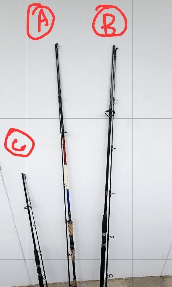 Fishing rod PINNACLE, IKANO, PIONNER, Sports Equipment, Fishing on ...