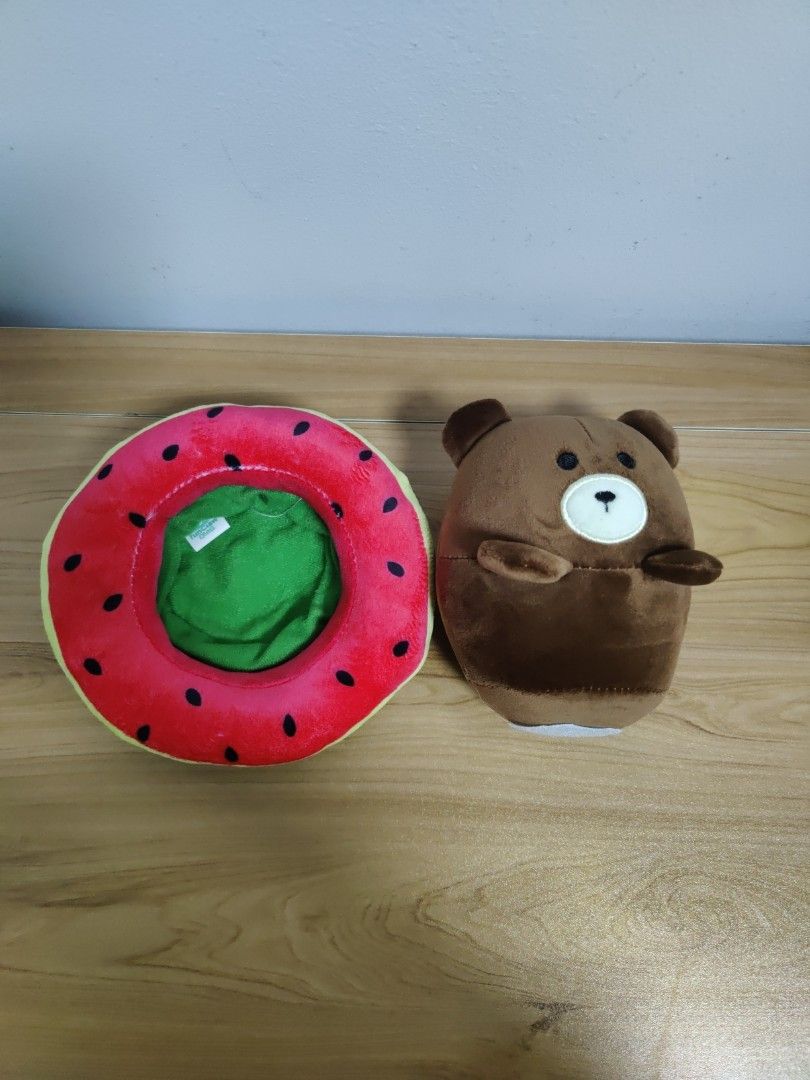 Funclaw Bear in watermelon float, Hobbies & Toys, Toys & Games on Carousell