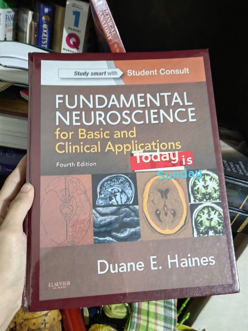 Fundamental Neuroscience, Hobbies & Toys, Books & Magazines, Textbooks ...