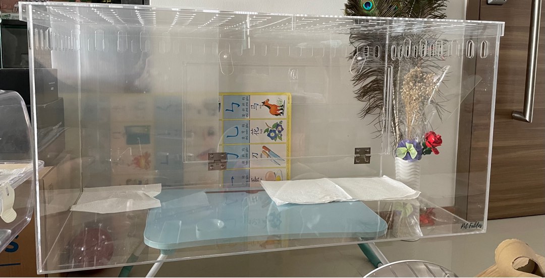 Hamster Acrylic Cage (Pet Fables Acrylic Cage - 100 × 50h × 50 cm) plus ...