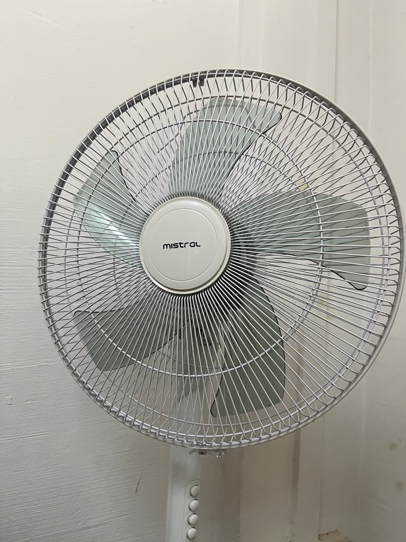 Mistral 5 Blade Standing Fan x2, Furniture & Home Living, Lighting ...